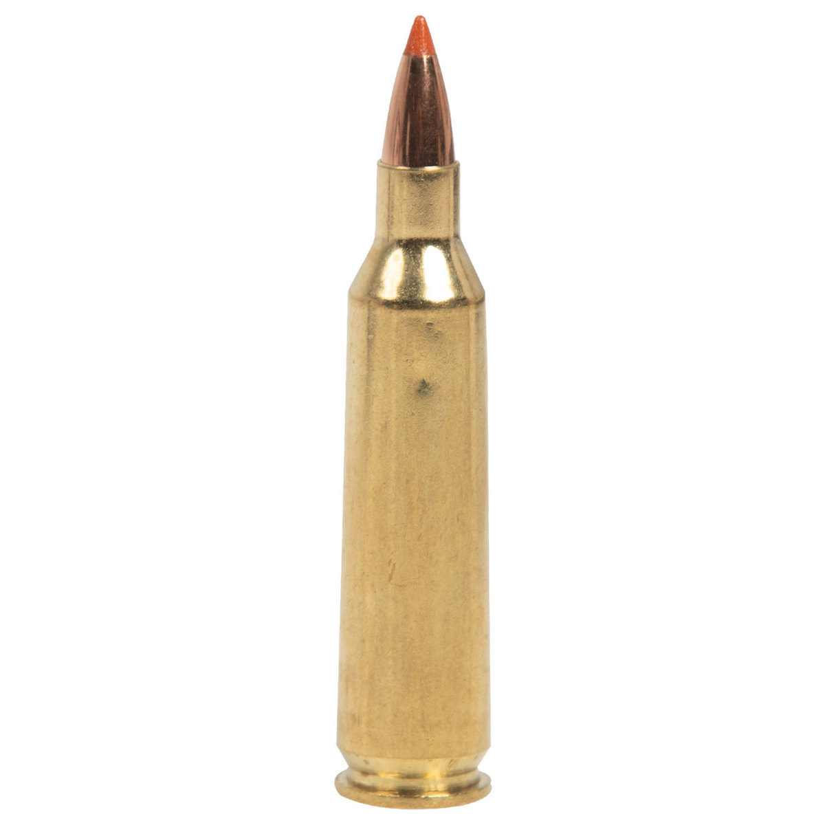 Nosler Trophy Grade Varmint 22 250 Remington 35gr BTLF Rifle Ammo 20 nosler-trophy-grade-varmint-22-250-remington-35gr-btlf-rifle-ammo-20